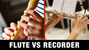 Flute vs Recorder - Which is Best for You? - Professional Composers